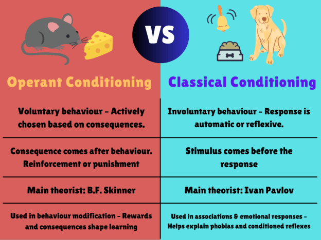 Operant Conditioning vs Classical Conditioning