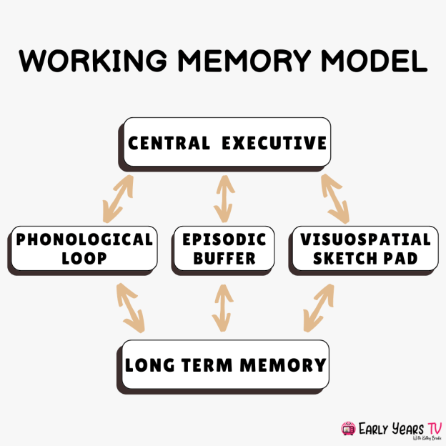 Working Memory Model (Baddeley and Hitch) WMM