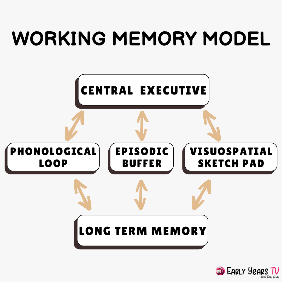Working Memory Model (Baddeley and Hitch) WMM