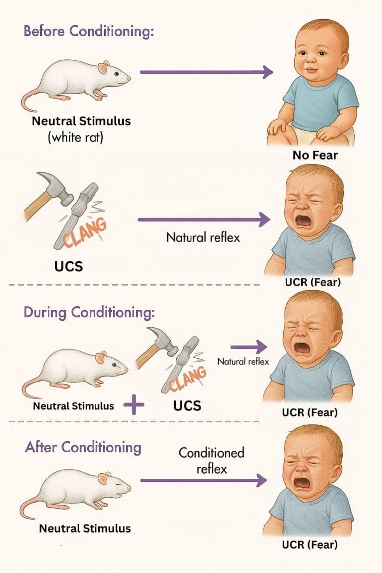 psychological experiments - Early Years TV
